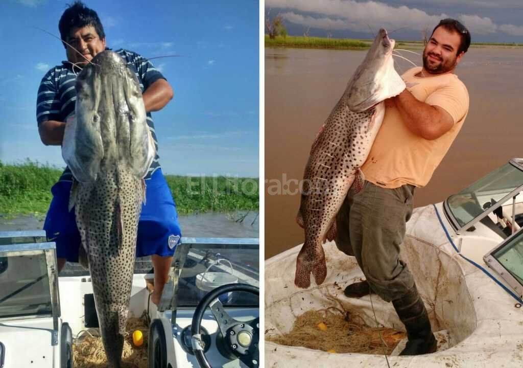 Surubí gigante: ¿qué dicen las leyes de Santa Fe? | Solo Pesca Deportiva