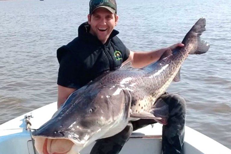 Entrerrianos pescaron un surubí gigante en las aguas del Uruguay | Solo ...