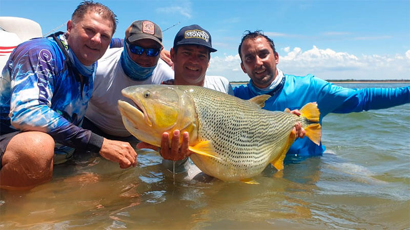 Pescaron un dorado “animal” de casi 30 kilos en el río Paraná | Solo ...