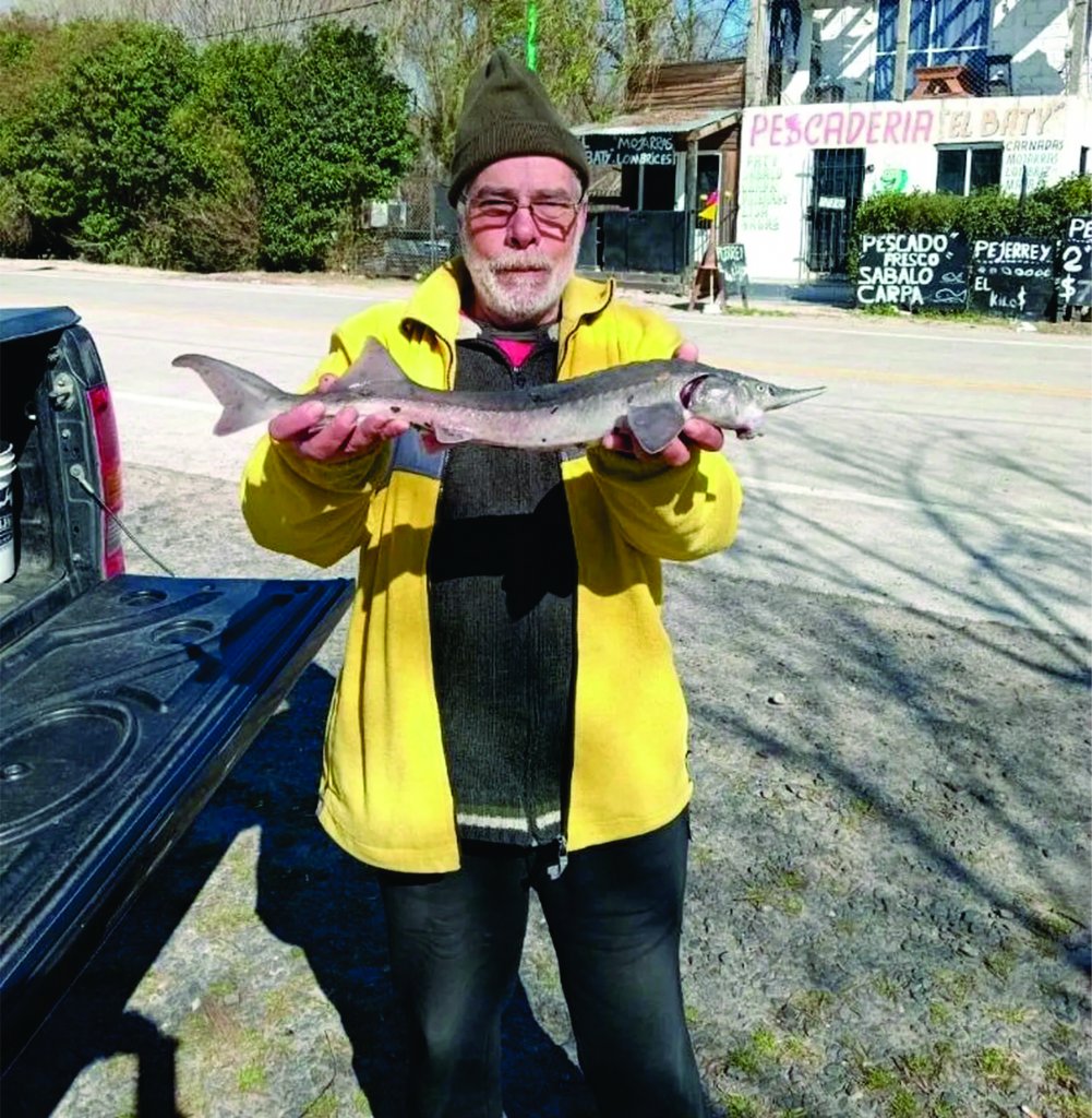 Un pescador de La Plata halló un pez que podría transformar el ...